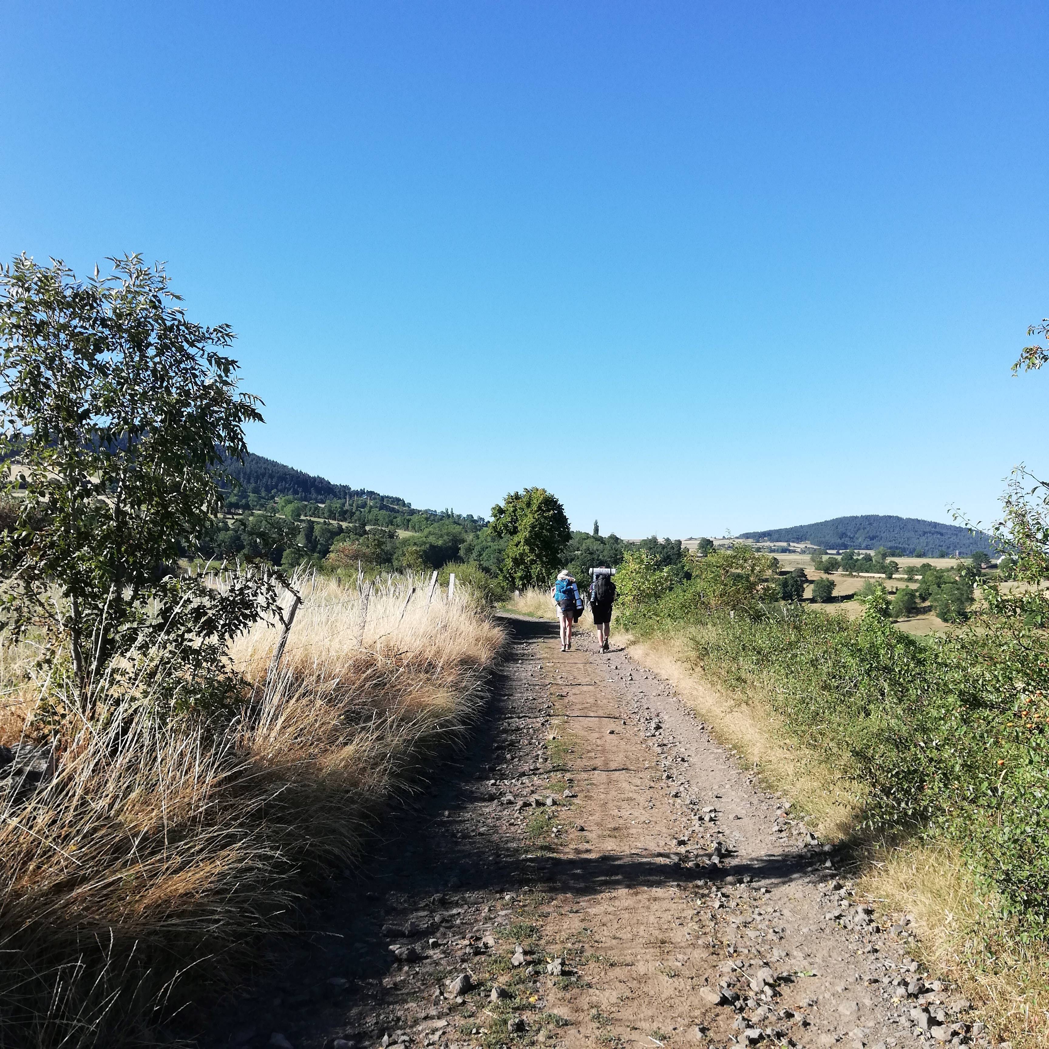 The Route of Stevenson, Second part | Circuit | La Rebenne