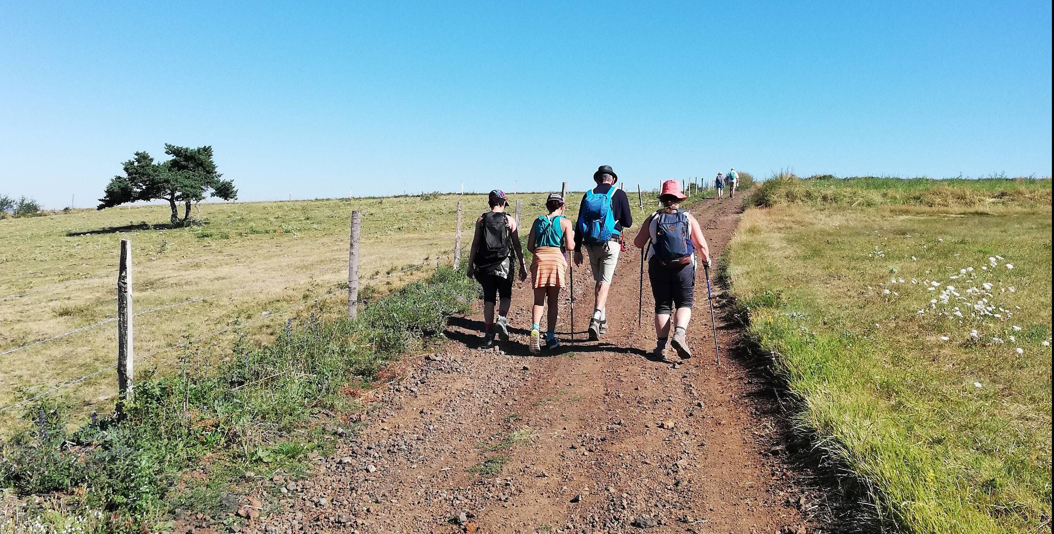 The Route of Stevenson, First Part | Circuit | La Rebenne